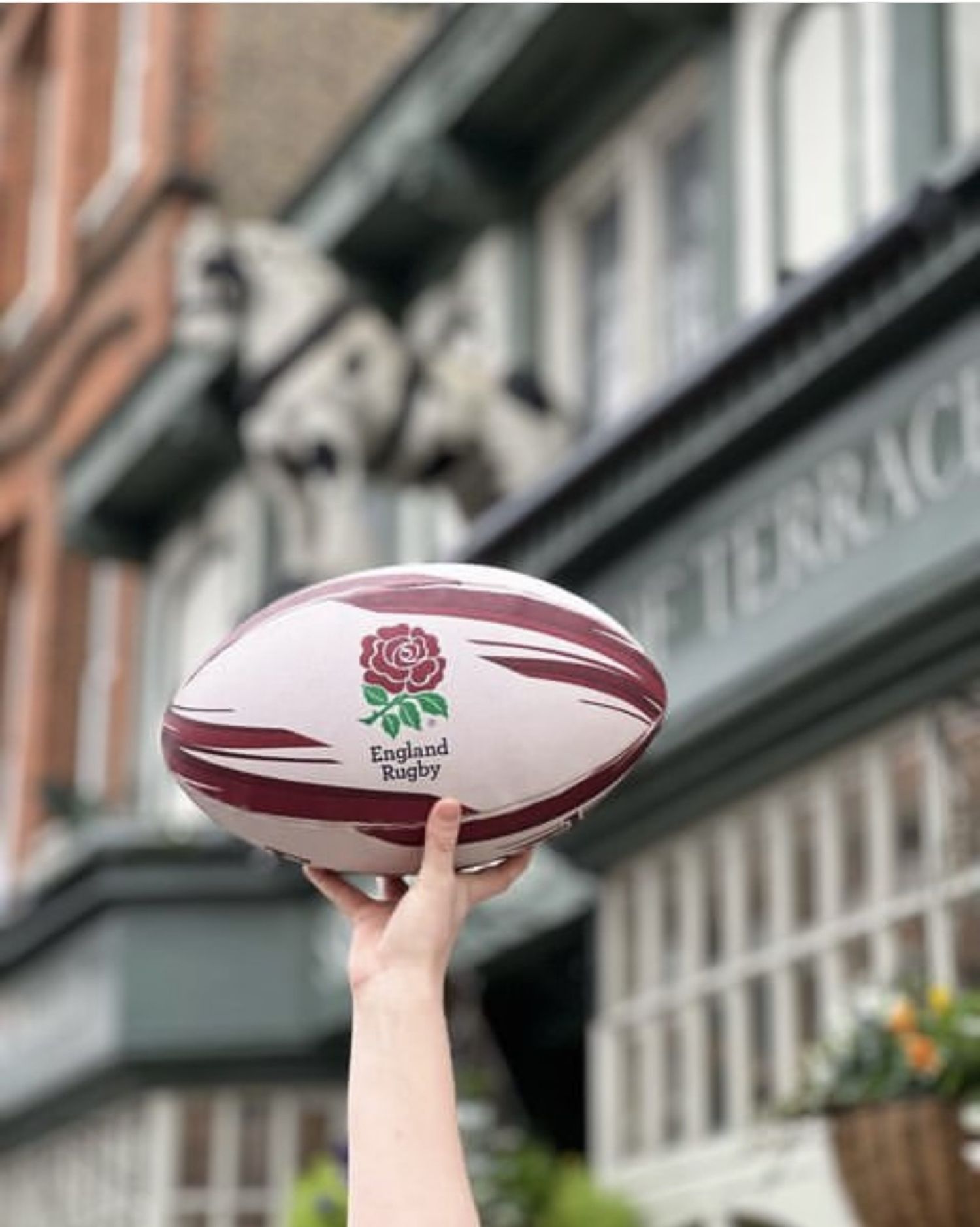 The Spotted Horse | Putney's best pub